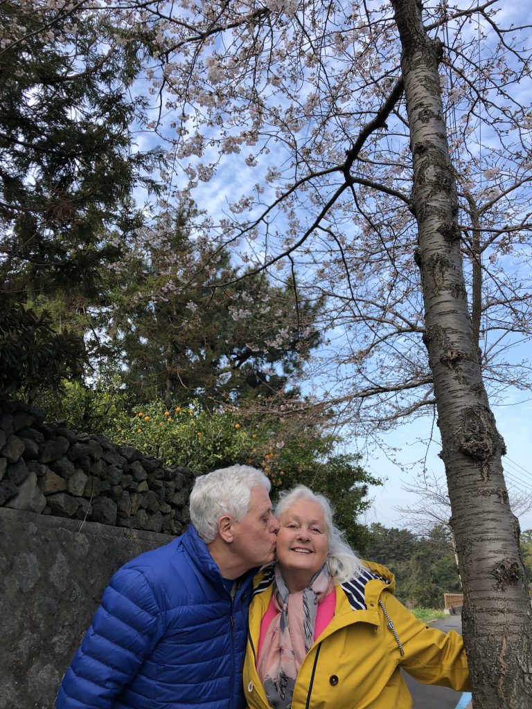 Cherry Blossoms and More – Jeju Island – Life With Papa